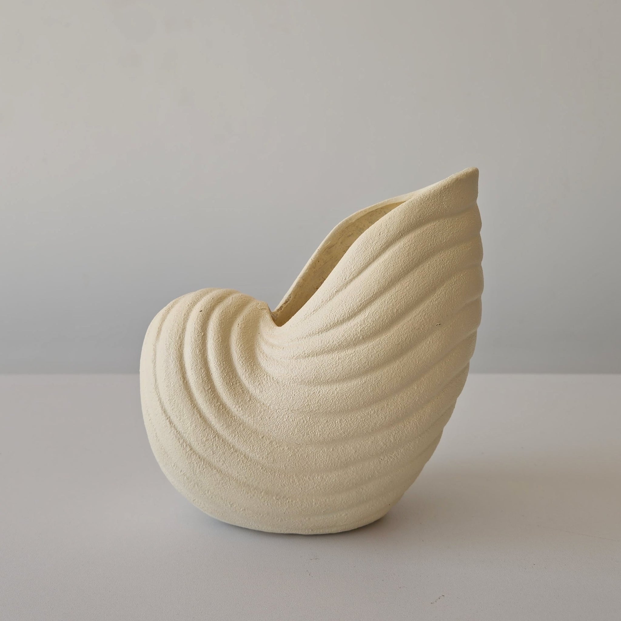 Shell Planter – Plantcultcairo