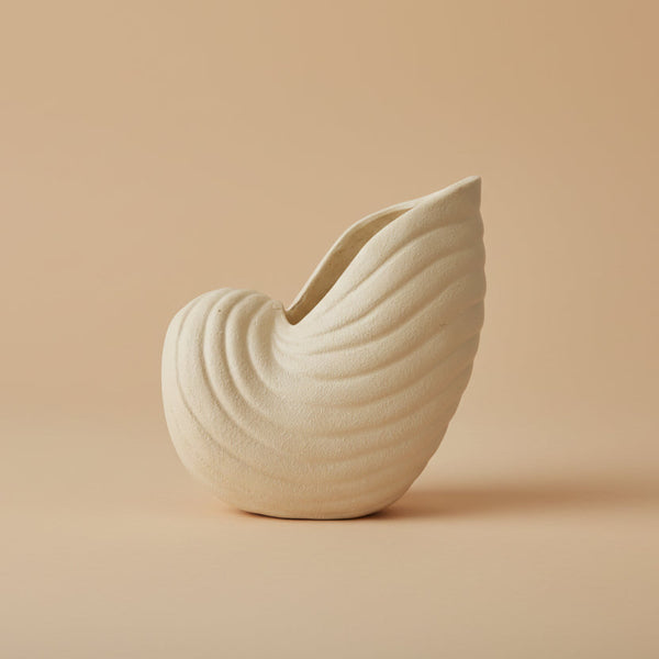 Shell Planter – Plantcultcairo
