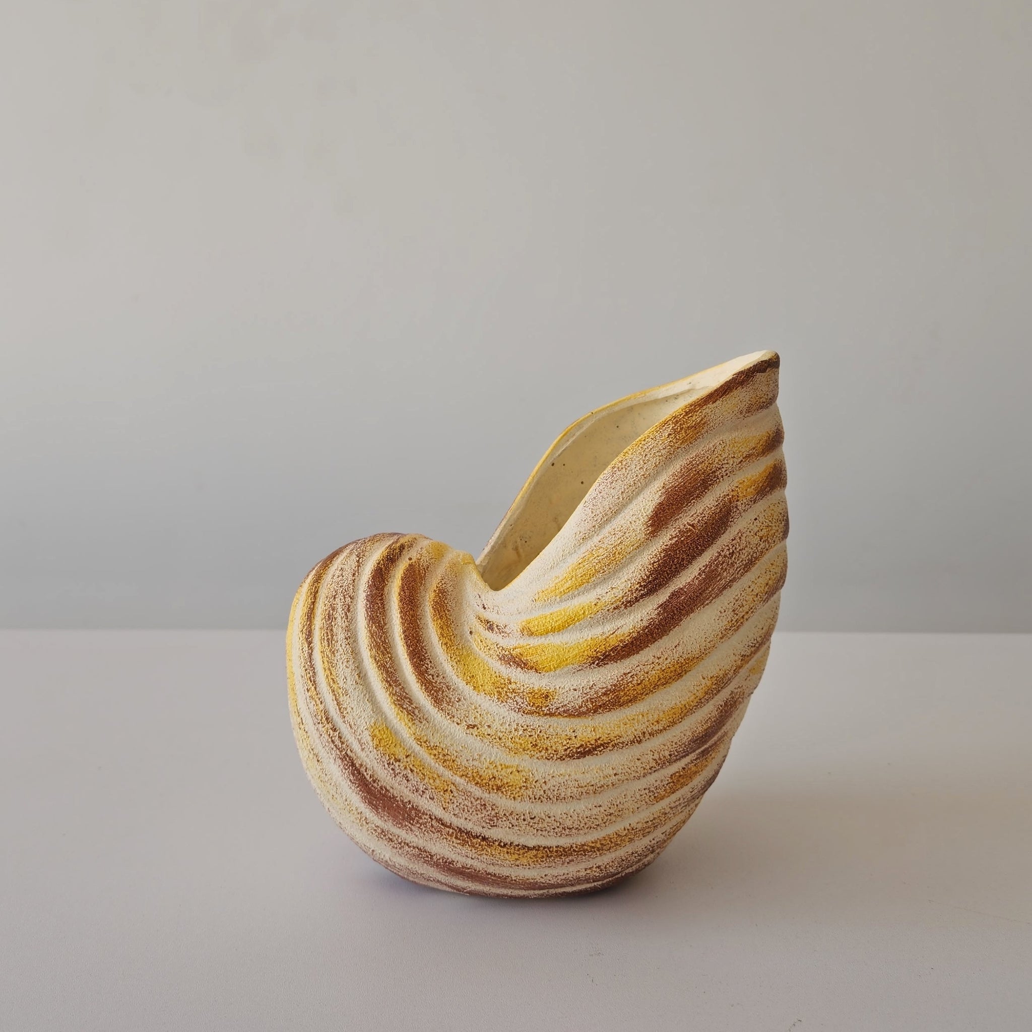 Shell Planter – Plantcultcairo